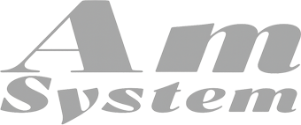 AM SYSTEMS CONSULTORIA